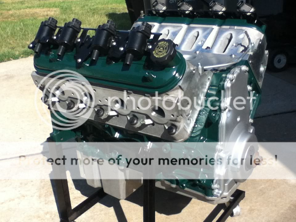 Just some pics of my LQ9 motor...finally done and painted ...